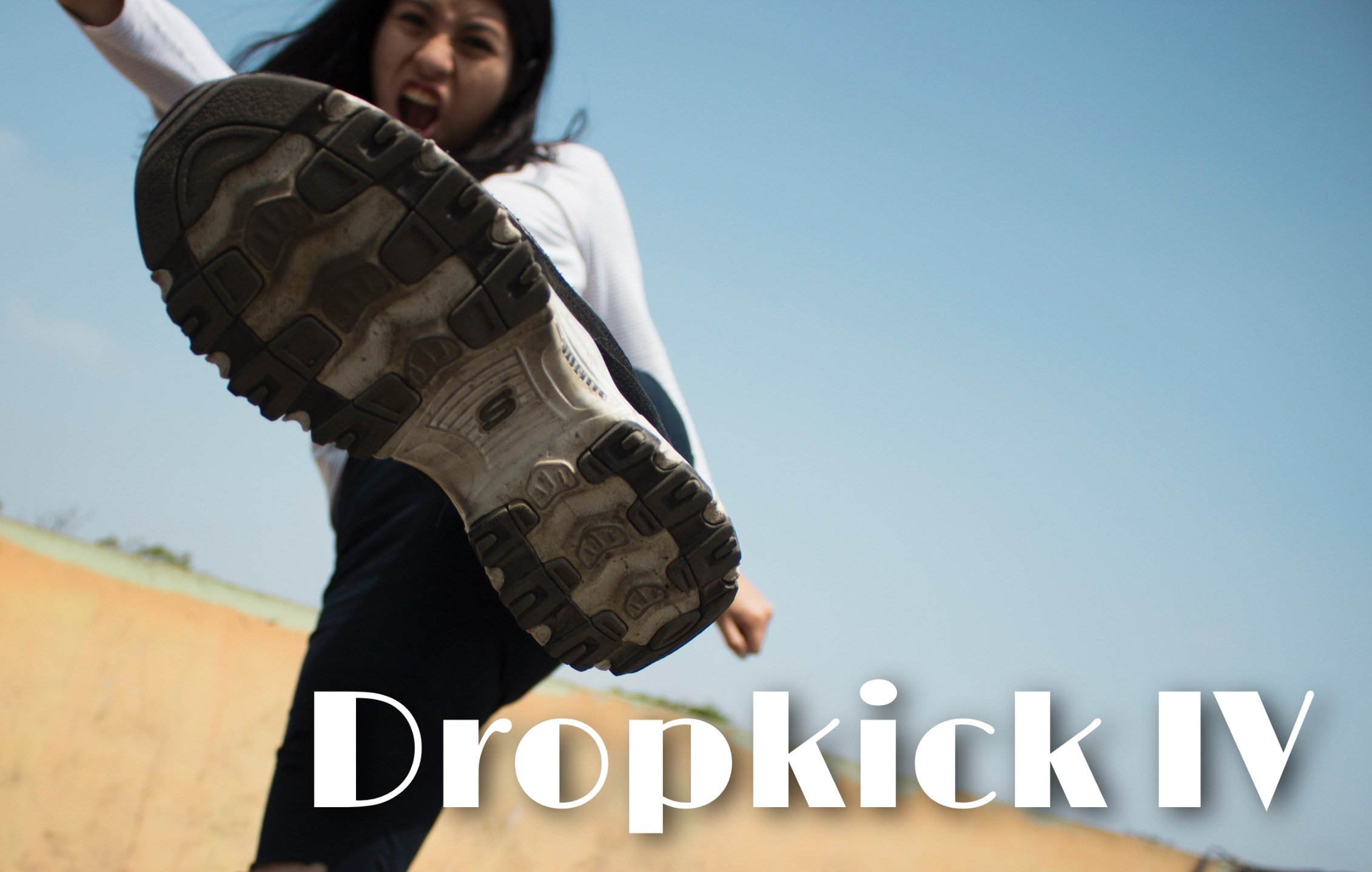 People I Want To Dropkick, Part IV: Nothing Is Ever Good Enough For Me ...